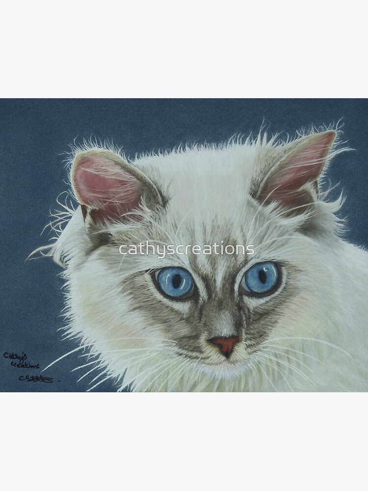 "Rag Doll Cat" Sticker by cathyscreations | Redbubble