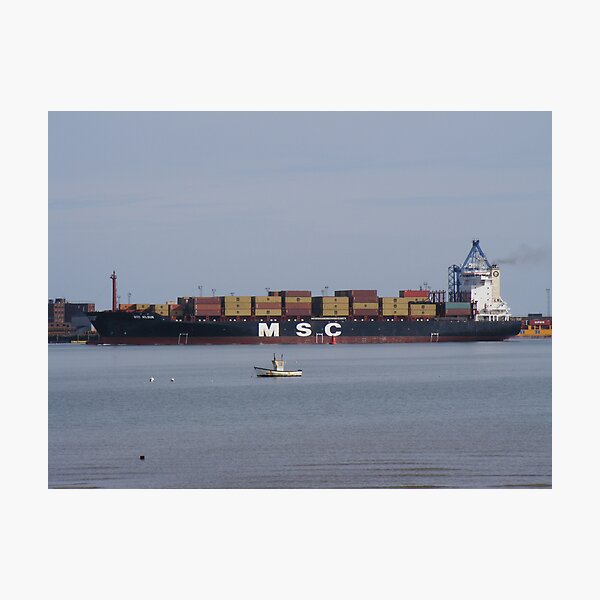 Msc Merch & Gifts for Sale | Redbubble