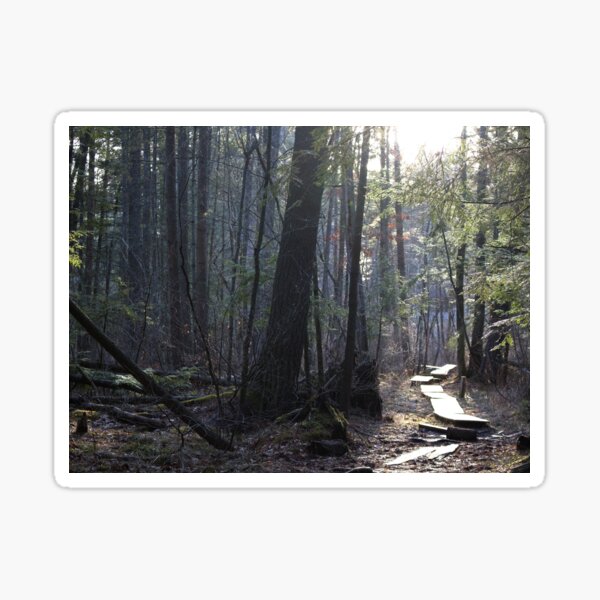 "Pathway" Sticker for Sale by claireture | Redbubble