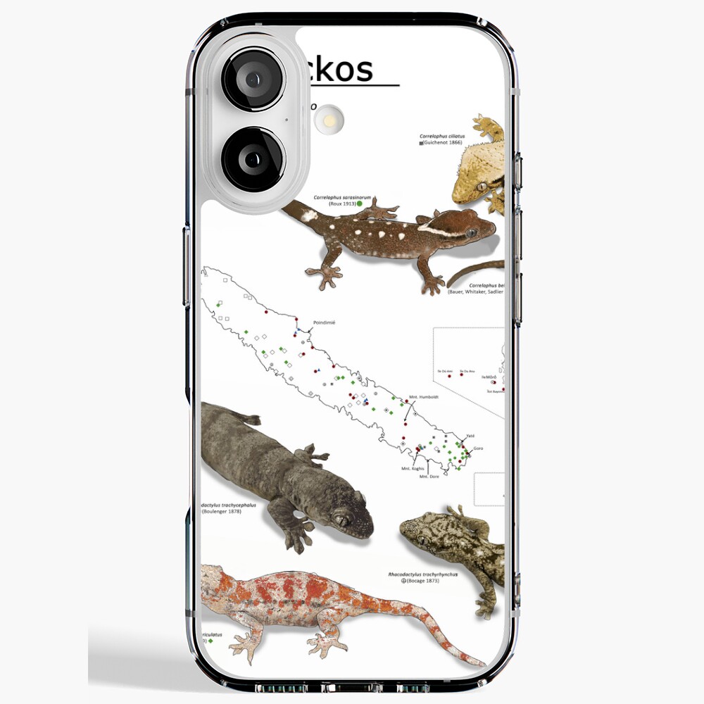 "NC geckos" Sticker for Sale by TsyenD-art | Redbubble