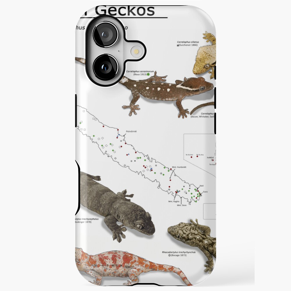 "NC geckos" Sticker for Sale by TsyenD-art | Redbubble