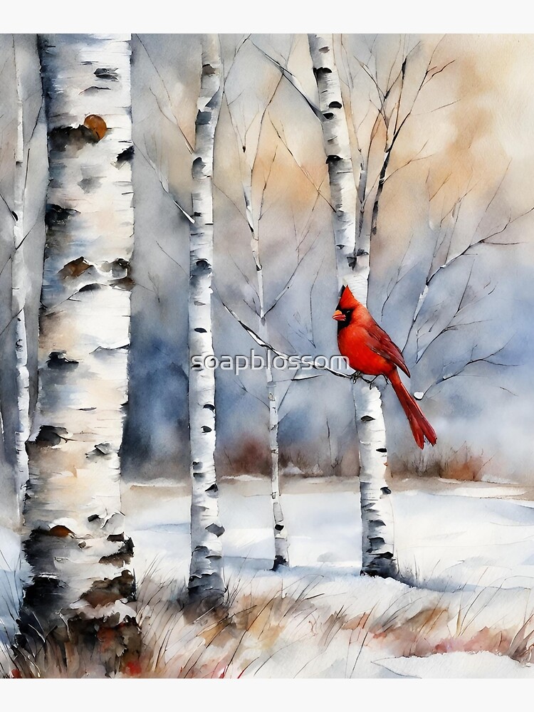 "Birch Trees with Cardinal in Winter" Poster for Sale by soapblossom ...