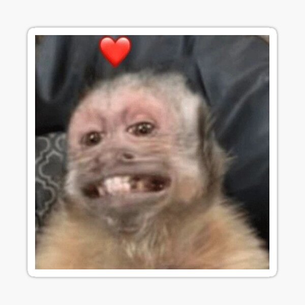"monkey love" Sticker by IreneCRCO | Redbubble