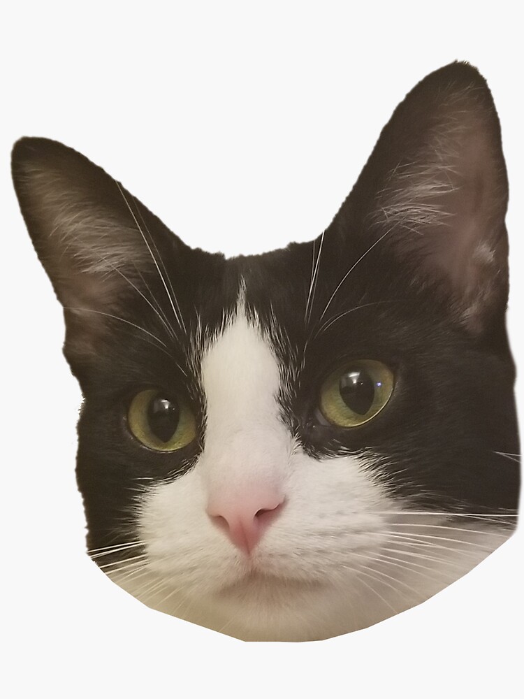 "Cute Cat Head" Sticker for Sale by danieldeprived | Redbubble