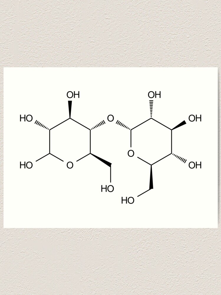 "Maltose, Malt Sugar Chemical Molecule Structure" Art Print for Sale by ...