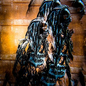 "Indian Larry" Sticker for Sale by EOSEIR | Redbubble