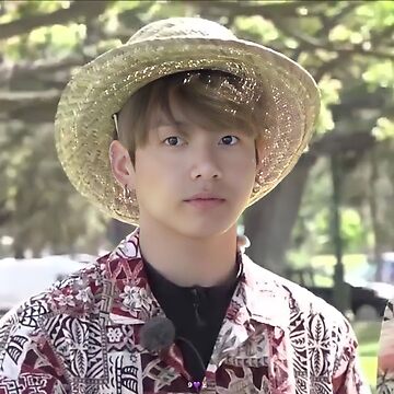 "The Dirty Boy from Hawaii" Sticker by MangoPunketo | Redbubble