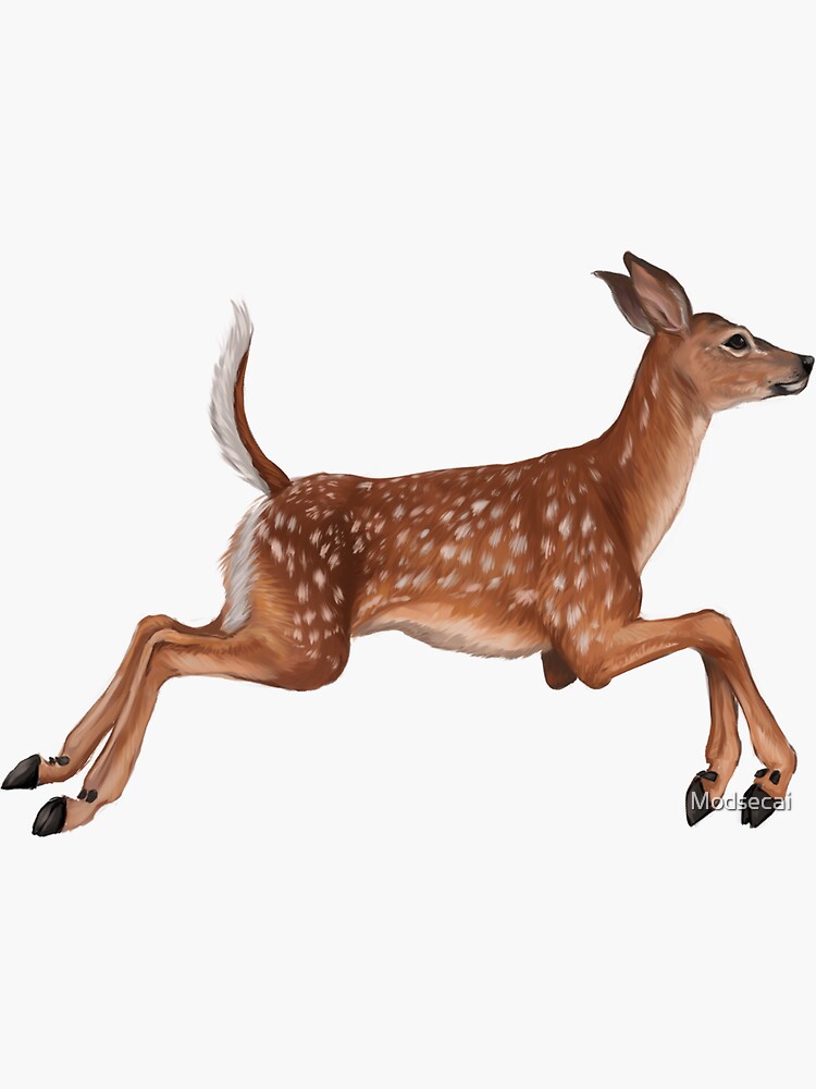 "Leaping Fawn" Sticker for Sale by Modsecai | Redbubble