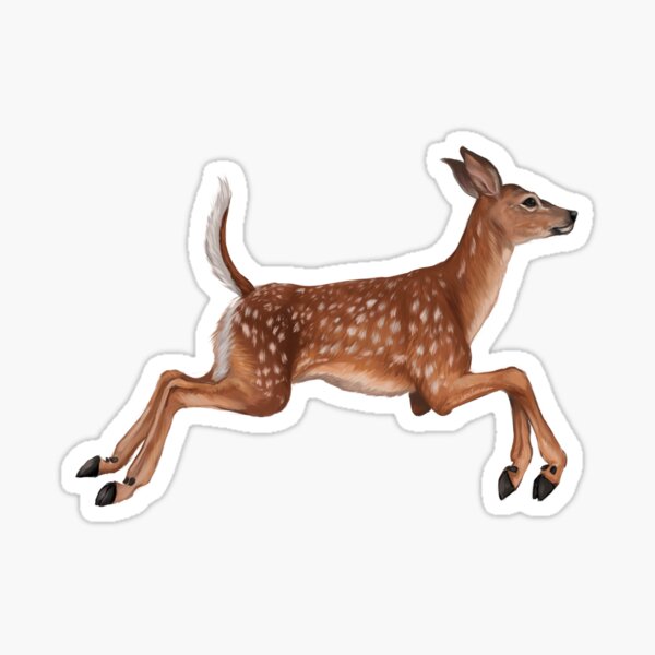 "Leaping Fawn" Sticker for Sale by Modsecai | Redbubble