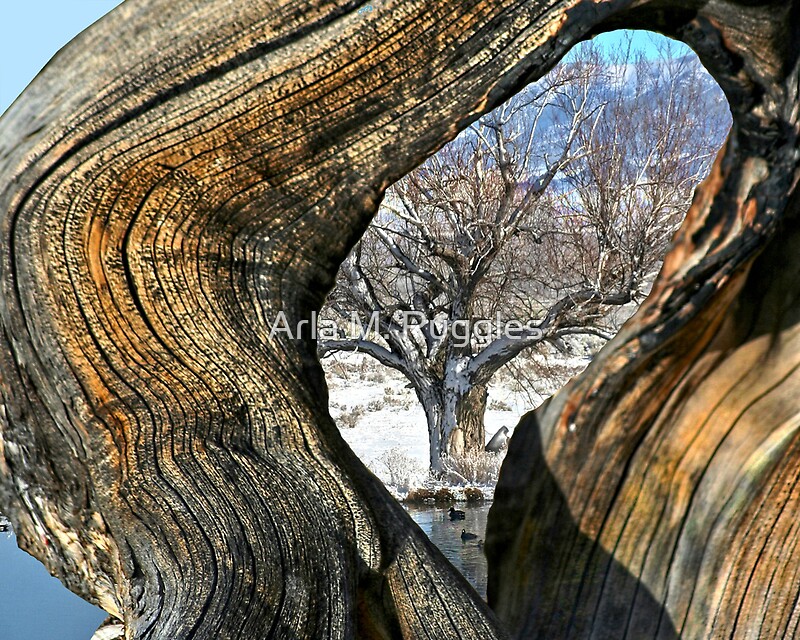 "Eye Of Time" by Arla Ruggles | Redbubble