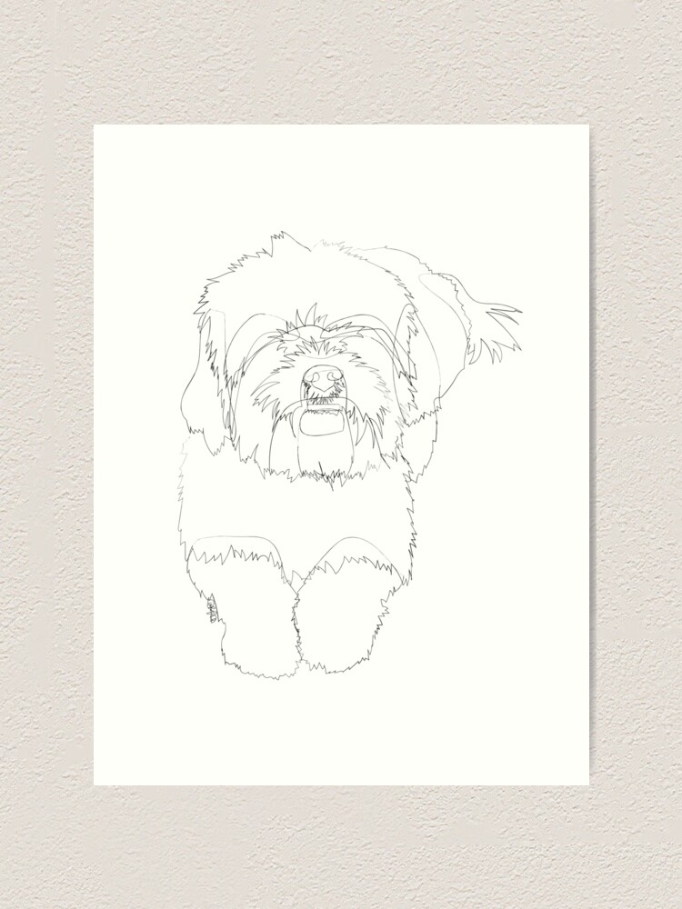 "Shih Tzu Line Drawing" Art Print for Sale by TReich03 | Redbubble