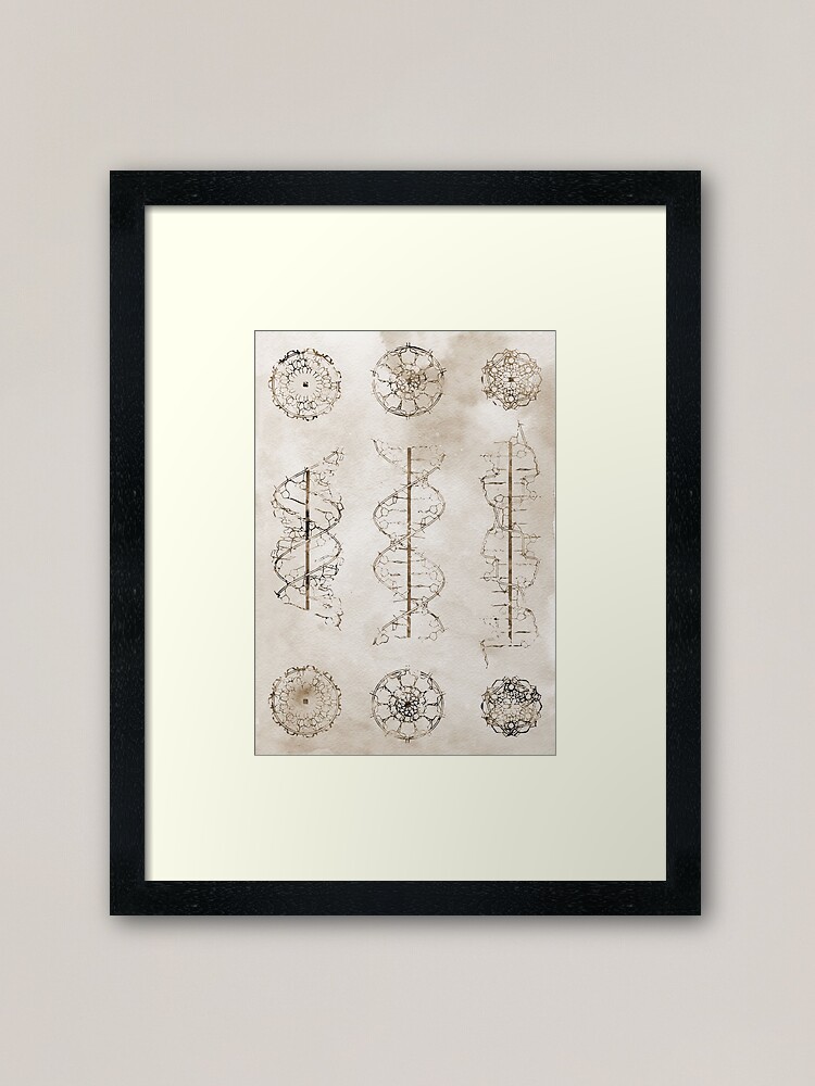 "DNA helix conformation Print A-form B-form and Z-form DNA Genetic Art ...