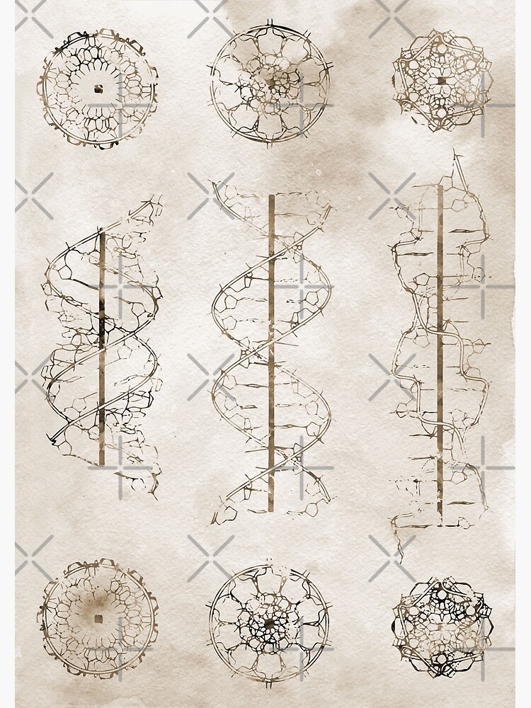 "DNA helix conformation Print A-form B-form and Z-form DNA Genetic Art ...