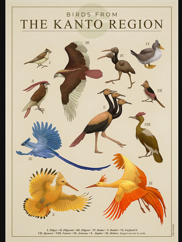 "Birds of Kanto" Essential T-Shirt for Sale by Julio Lacerda | Redbubble