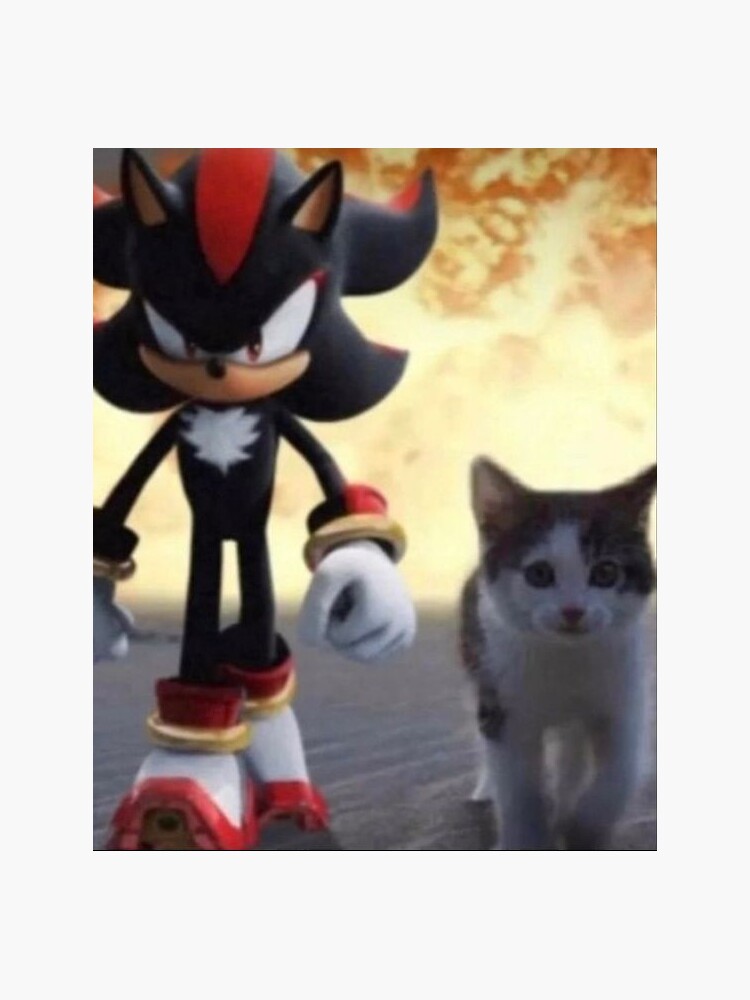 "Shadow the Hedgehog walking with cat" Sticker for Sale by neogirl ...