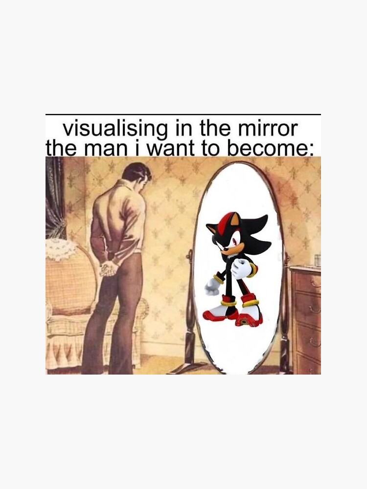 "Visualizing in the Mirror Shadow the Hedgehog Meme" Sticker for Sale ...