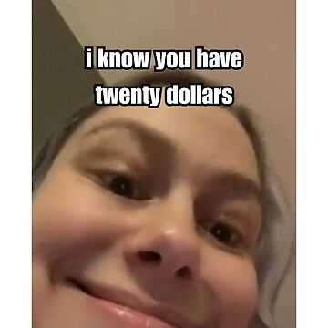 "i know you have $20 phoebe bridgers meme" Sticker for Sale by eldrury ...