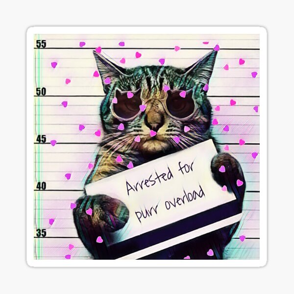 "Valentine's Day purr-tastic Kitty" Sticker for Sale by Edgot | Redbubble