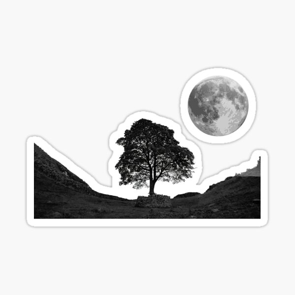 "Sycamore Gap Tree " Sticker for Sale by TuDuMu | Redbubble