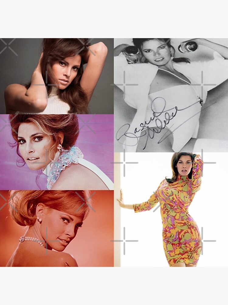 "raquel welch signed" Sticker for Sale by warshipologiste | Redbubble