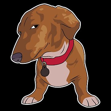 "Dog Side Eye Meme Dachshund" Sticker for Sale by DamnGoodDesign ...