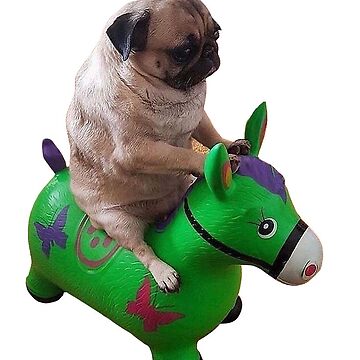 "PUG ON DA HORSE" Sticker for Sale by indirectsquid | Redbubble