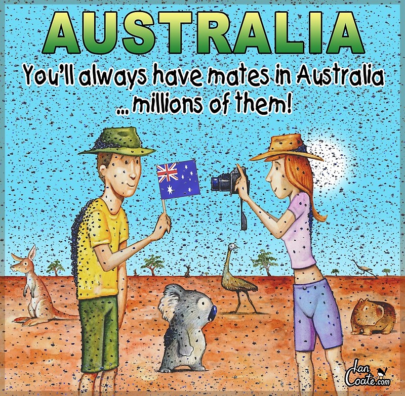 "Aussie Moment - Australian Mates and Flies" by iancoate | Redbubble