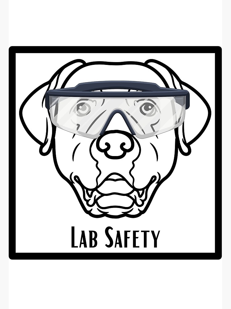 Lab Safety Poster Goggles