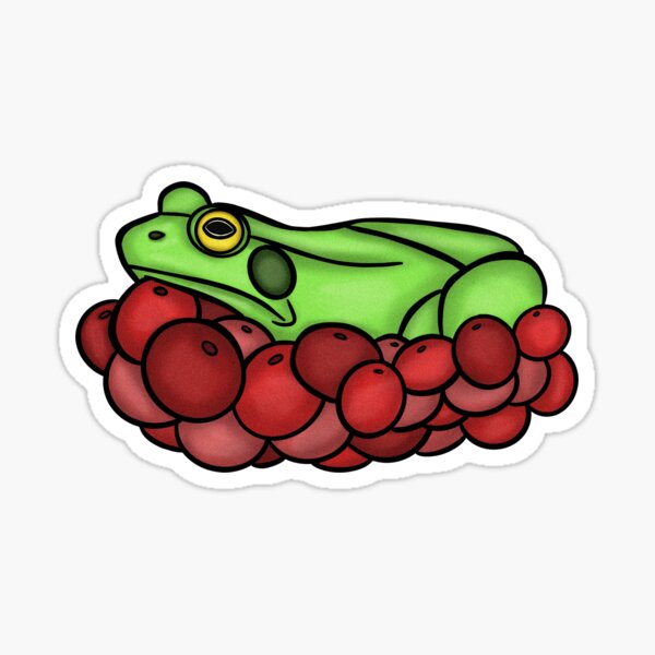 Frog And Cranberries Merch & Gifts for Sale | Redbubble