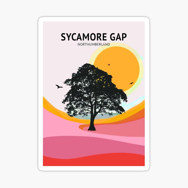 "Northumberland National Park Sycamore Gap Tree England" Sticker for ...