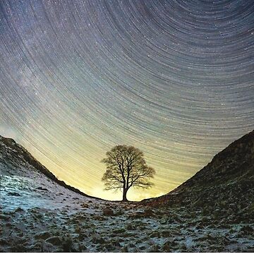 "Revolving Sycamore Gap Art " Sticker for Sale by Harsh Katariya ...