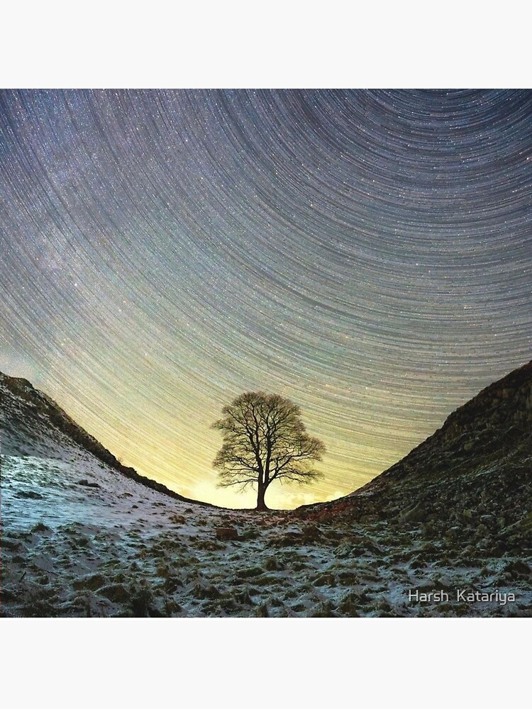 "Revolving Sycamore Gap Art " Sticker for Sale by Harsh Katariya ...
