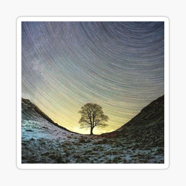 "Revolving Sycamore Gap Art " Sticker for Sale by Harsh Katariya ...