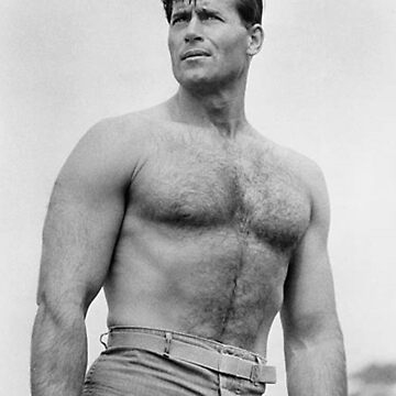 "clint walker" Poster for Sale by warshipologiste | Redbubble