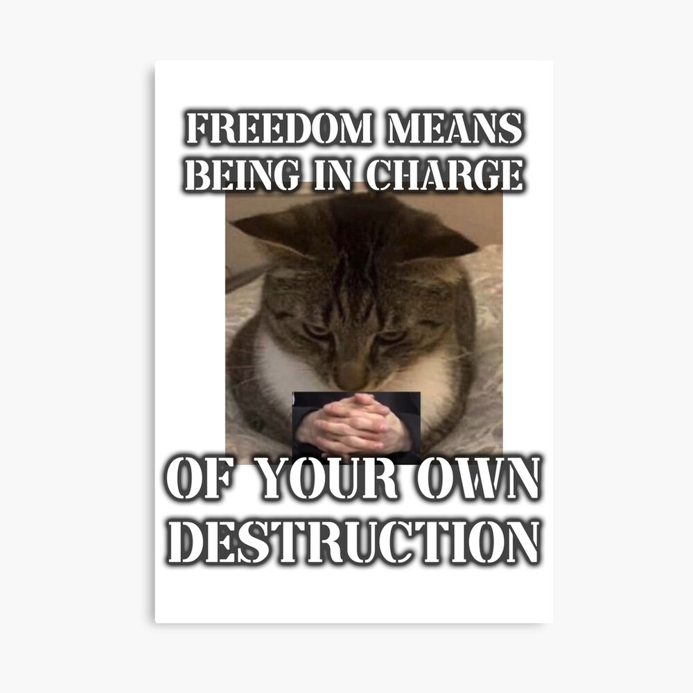 Freedom Cat Memes