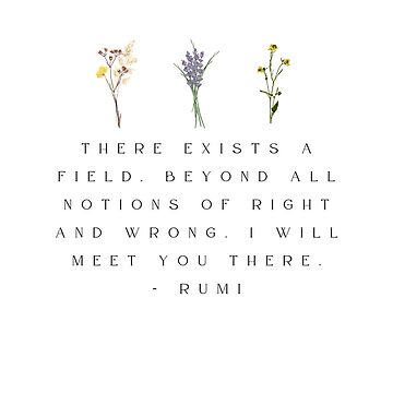 "There exists a field, beyond all notions of right and wrong. I will ...