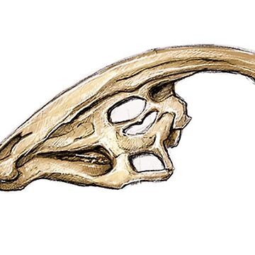 "Dinosaur Skull Parasaurolophus Sticker" Sticker for Sale by CassWArt ...