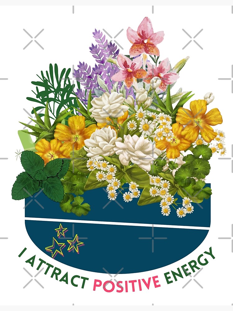 "Enhance Your Life With Flowers Which Attract Positive Energy ...