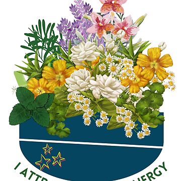 "Enhance Your Life With Flowers Which Attract Positive Energy ...