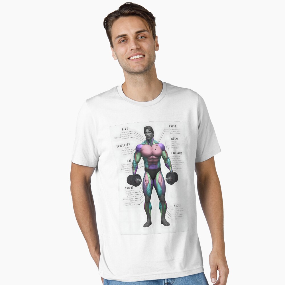 "Fitness Body Chart Poster | Gym Workout Guide | Muscle Anatomy Print ...