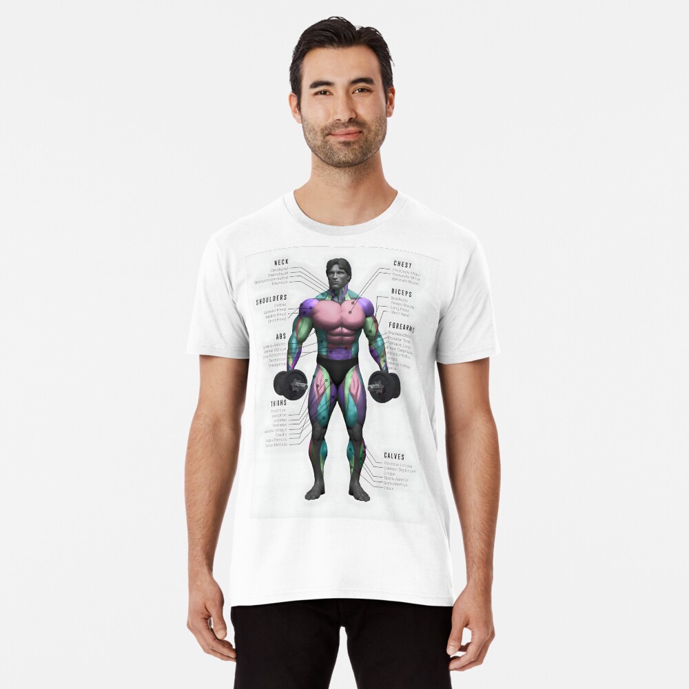 "Fitness Body Chart Poster | Gym Workout Guide | Muscle Anatomy Print ...