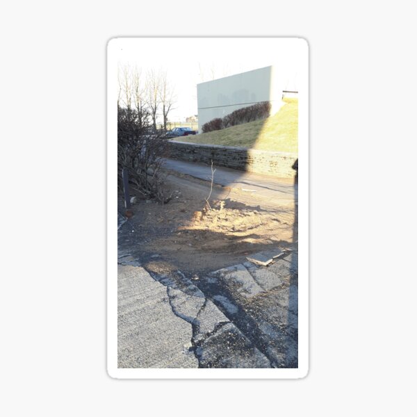 "Lone tree" Sticker for Sale by deepaHHV | Redbubble