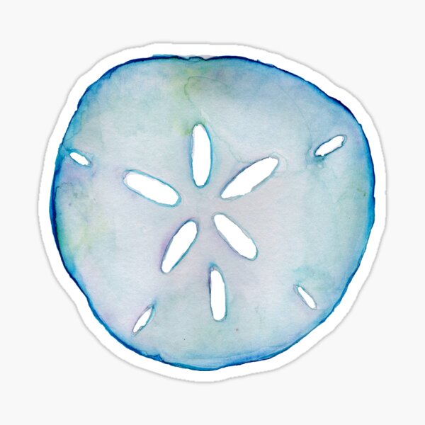 Seashell Stickers | Redbubble