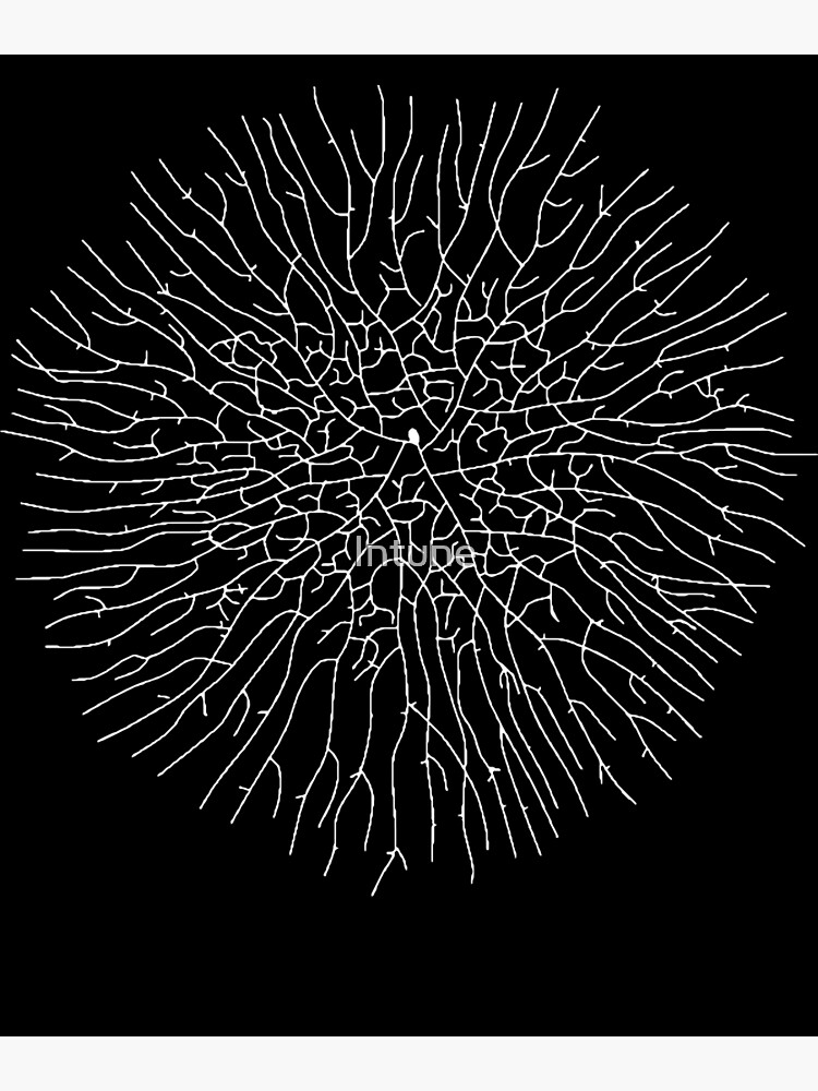 "Mycelium mushroom mycology fungi network design pattern" Poster for ...
