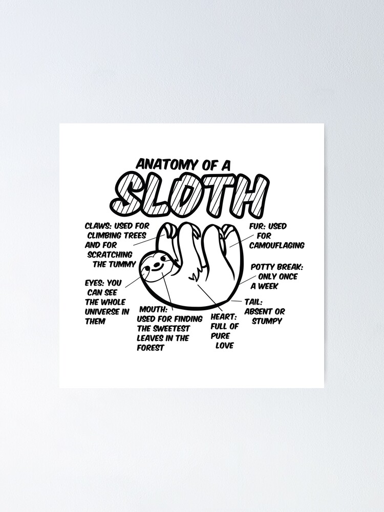 "Anatomy of a Sloth" Poster by radvas | Redbubble