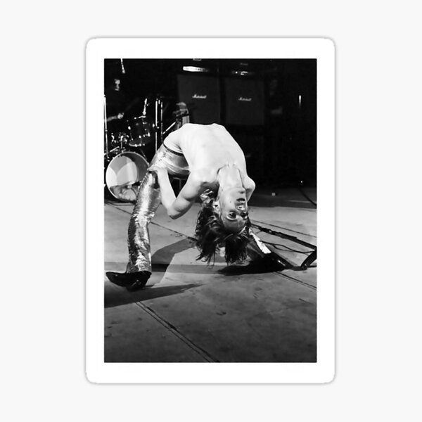"IGGY POP60S PUNK ROCK" Sticker for Sale by delanoyma | Redbubble