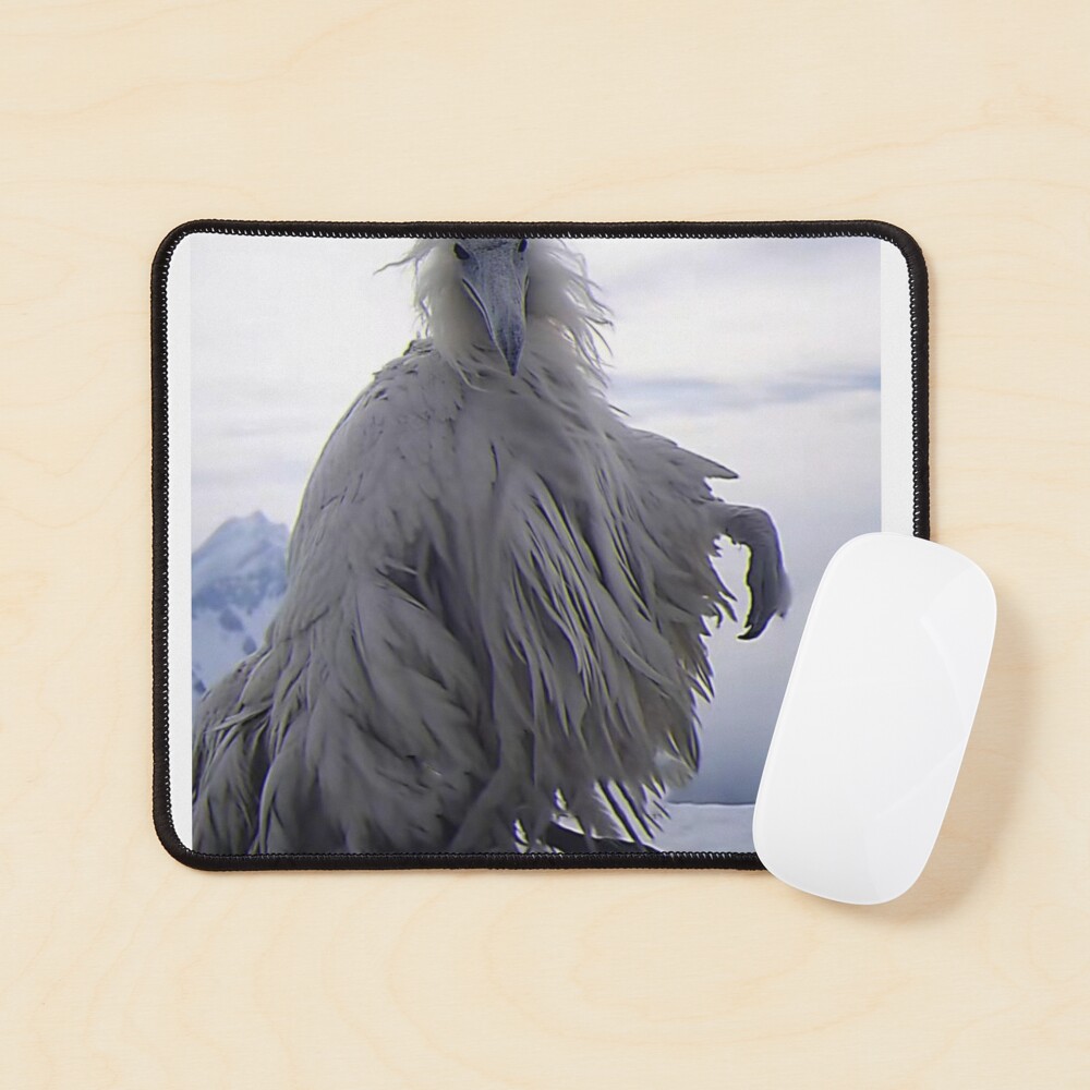 "Luh Calm Fit - Opium Bird - Erosion Bird" Poster for Sale by Wise ...