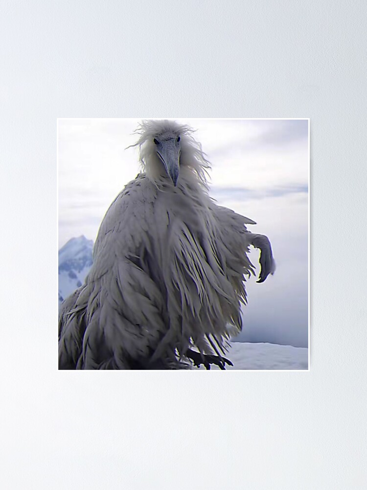 "Luh Calm Fit - Opium Bird - Erosion Bird" Poster for Sale by Wise ...