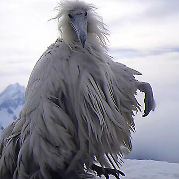 "Luh Calm Fit - Opium Bird - Erosion Bird" Poster for Sale by Wise ...