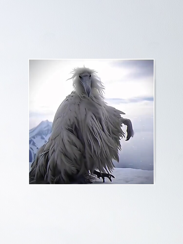 "Luh Calm Fit - Opium Bird - Erosion Bird" Poster for Sale by Edis257 ...